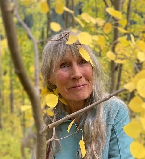 Home - C.G. Jung Society, Seattle